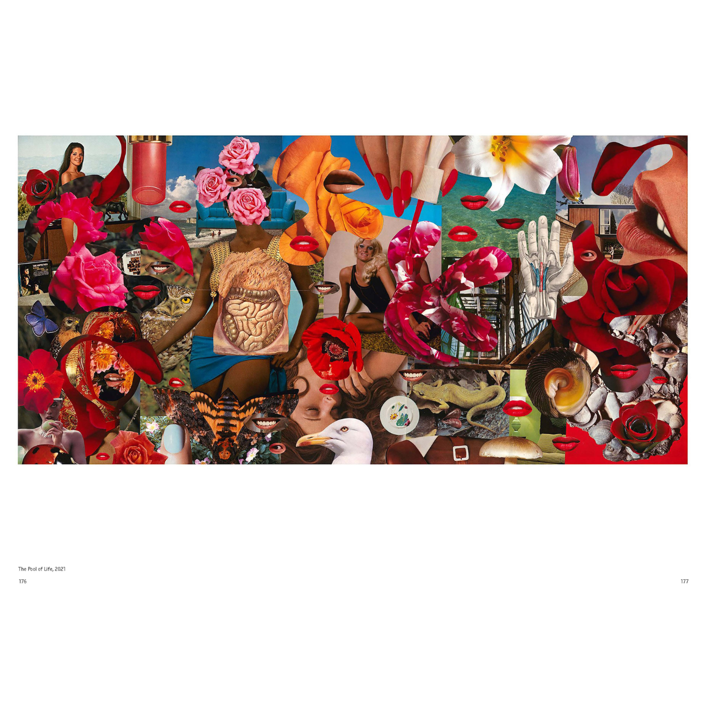 Linder: Danger Came Smiling Catalogue – Southbank Centre Shop